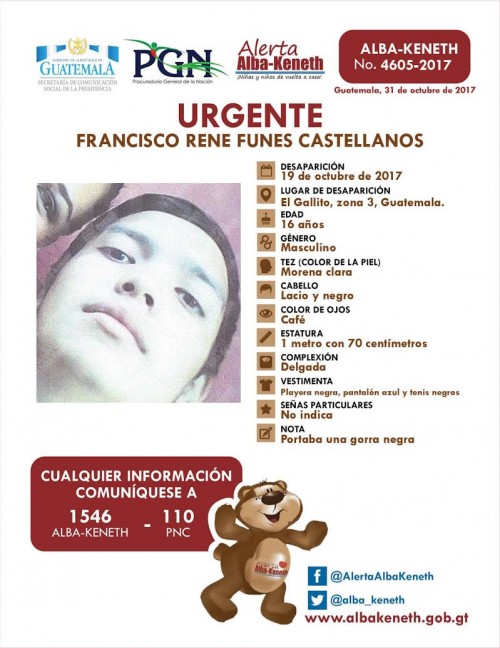 Alba-Keneth | Buscar una alerta