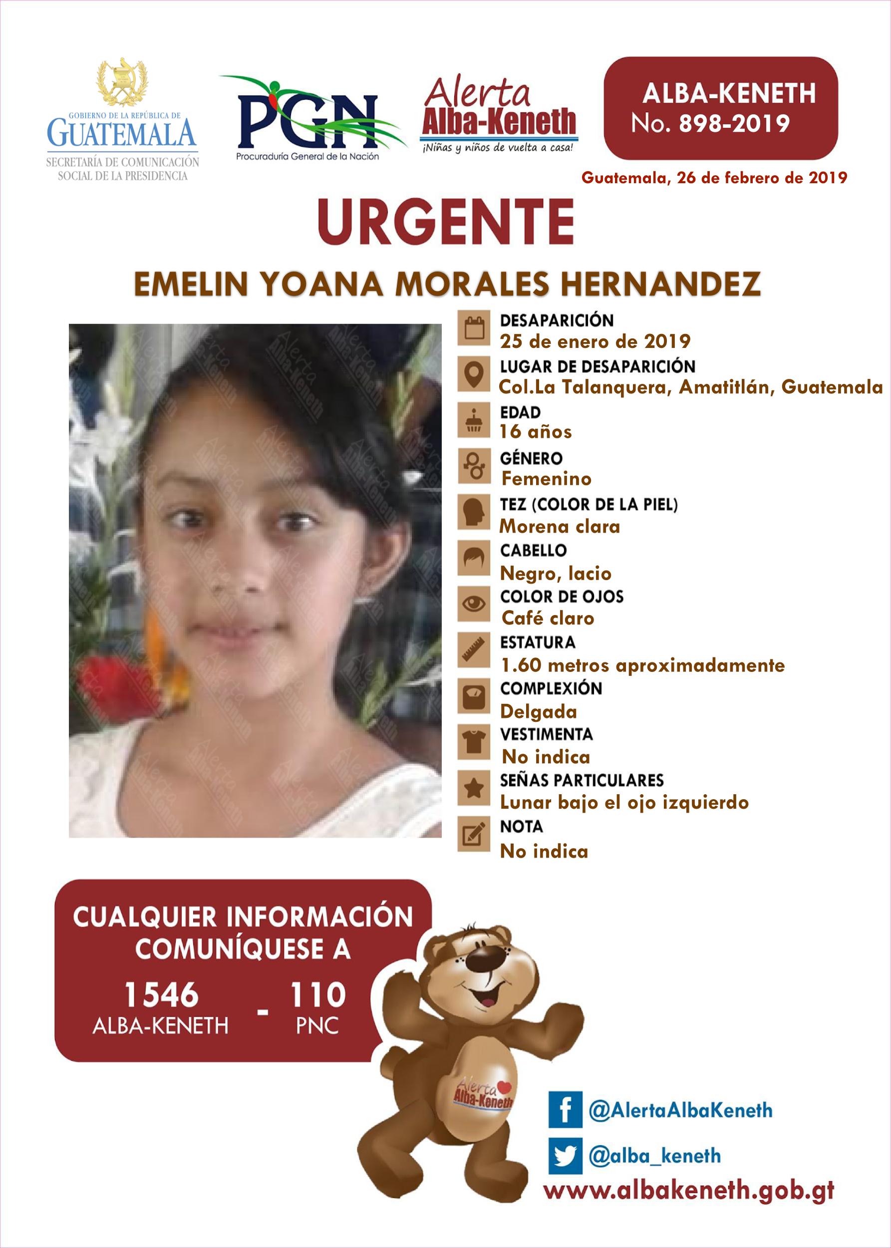 Alba-Keneth | Buscar una alerta